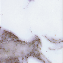 Thin Stone Panels | Marble Selections